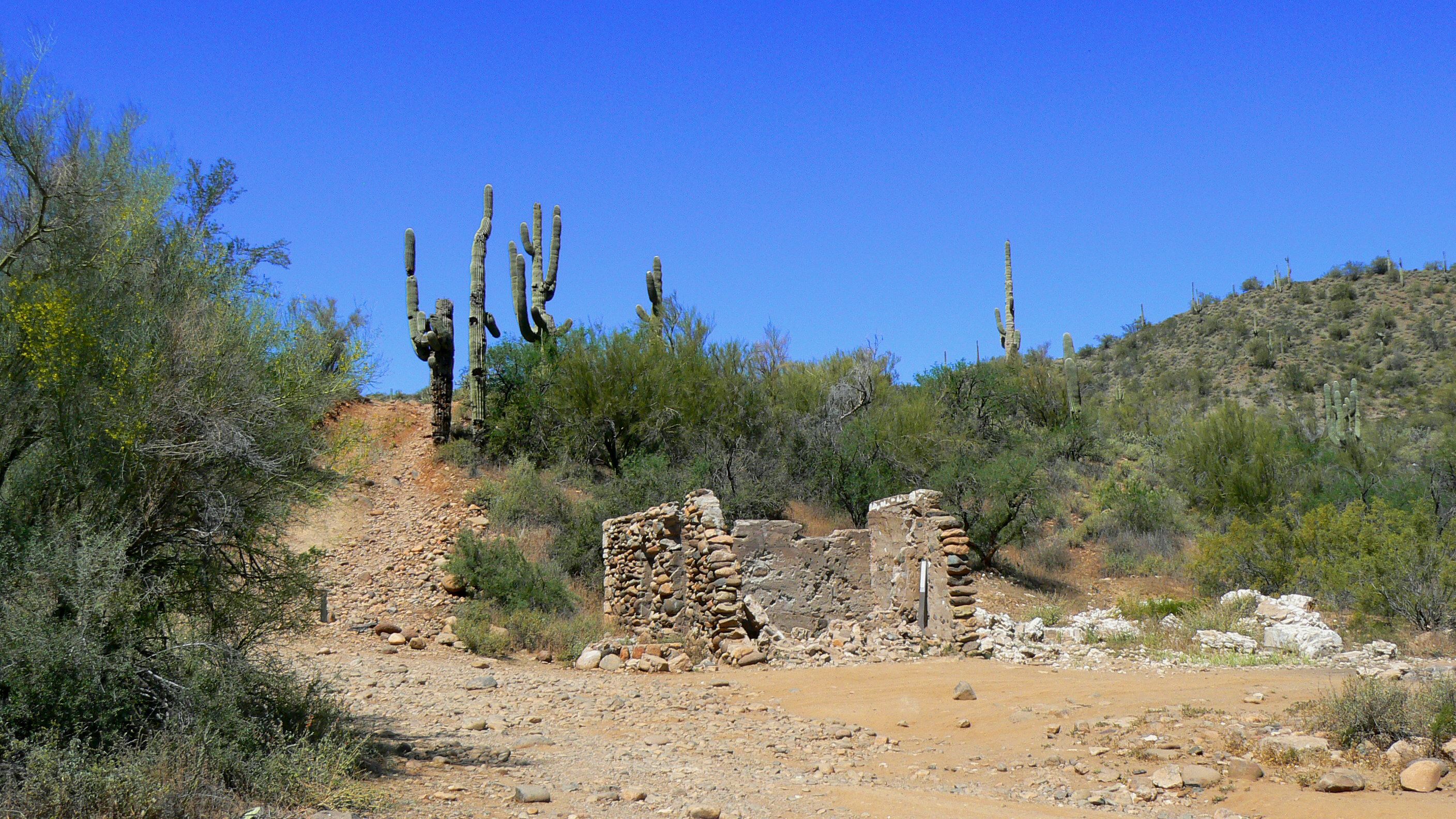 GoFools - All galleries for album: "Gillette & Tip-Top Ghost Towns"